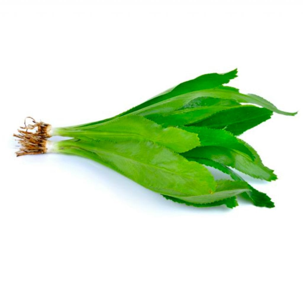 Cilantro Ancho (Paquetico) – Green Co. Fresh Food Market