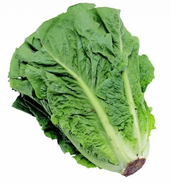 Lechuga Romana (Lb) – Green Co. Fresh Food Market