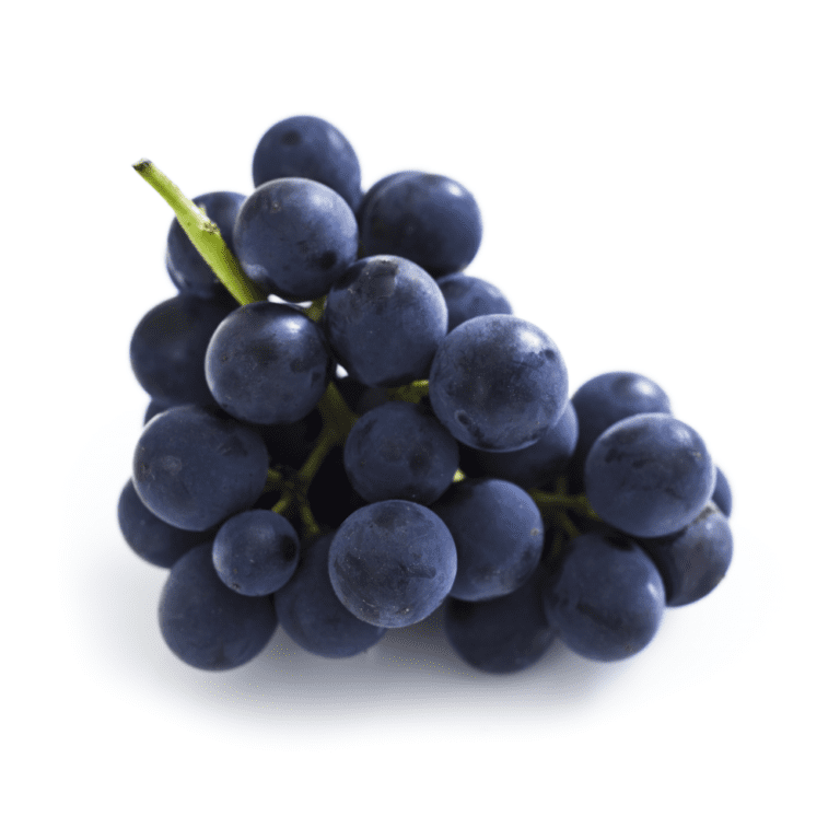 Uvas Negras sin Semilla (Lb) – Green Co. Fresh Food Market